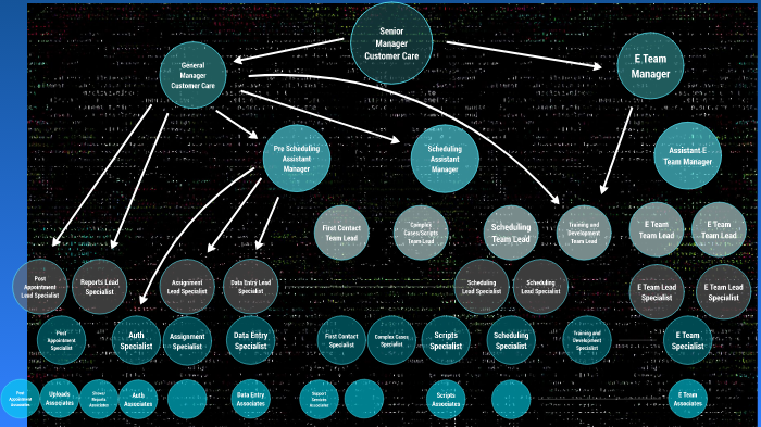 CC Org Chart - 45-60 Day Plan by Dan Hiltner
