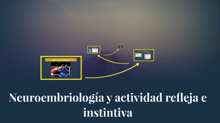 Neuroembriología y actividad refleja e instintiva by Dianitha Ceballos ...