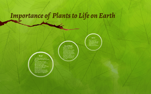 Importance of Plants to Life on Earth by kate clements on Prezi