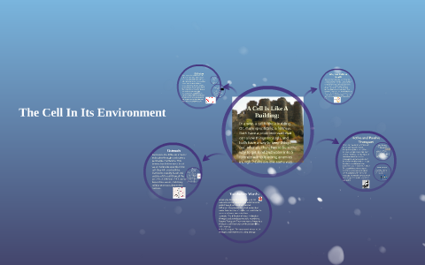 The Cell in Its Environment by Lane Segura on Prezi