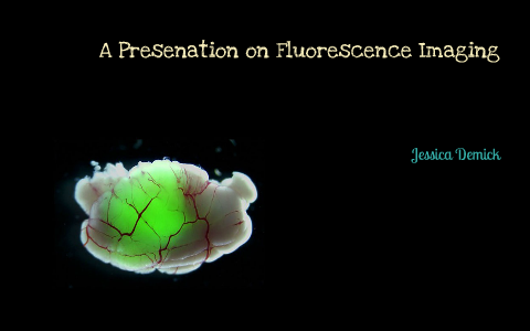 A Presentation on Fluorescence Imaging by Jessica Demick on Prezi