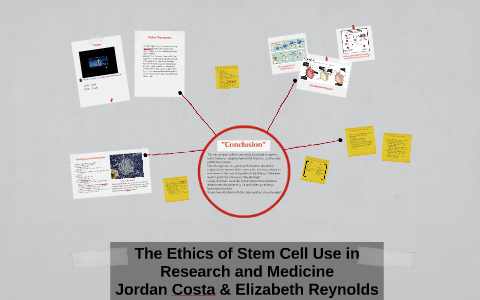 The Ethics of Stem Cell Use in Research and Medicine by Jordan Costa on ...