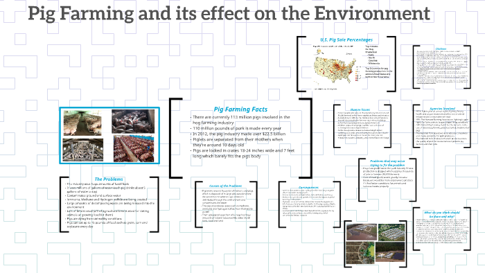 Hog Farming and its effect on the Environment by Elizabeth Fortier