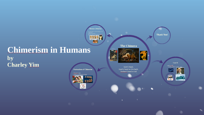 Chimerism in Human by charley yim