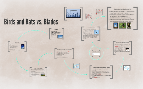 Birds and Bats vs. Blades by Carolyn Grosser on Prezi