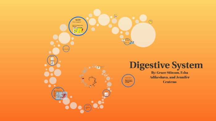 Digestive System by Grace Stinson on Prezi
