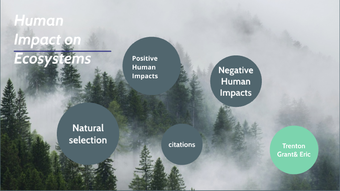 Human Impact on Ecosystems by Trenton Walters on Prezi