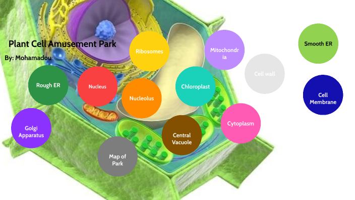 The Plant Cell Amusement Park by Mohamadou Coulibaly on Prezi