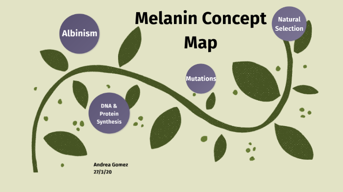 Melanin Concept Map by Andrea Gomez on Prezi
