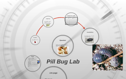 Pill Bug Lab by Dayna Edelman on Prezi