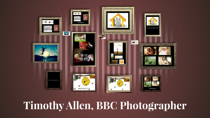 Timothy Allen, BBC Photographer by Sarah Sheya on Prezi