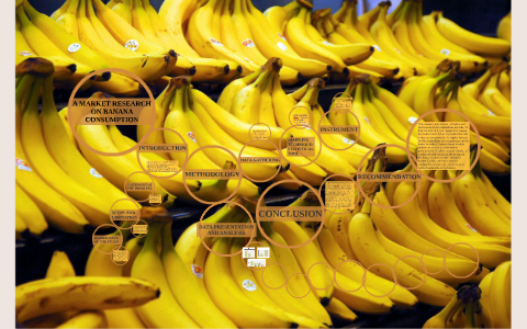 BABALLS by Grace Reola on Prezi