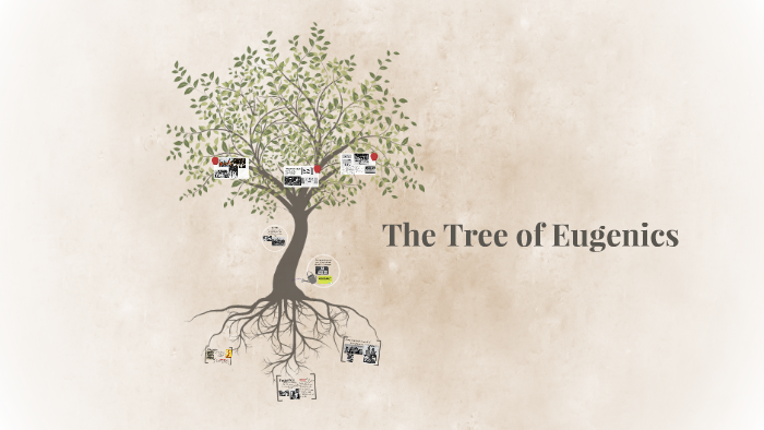 The Tree of Eugenics by Natalie De La Rosa on Prezi