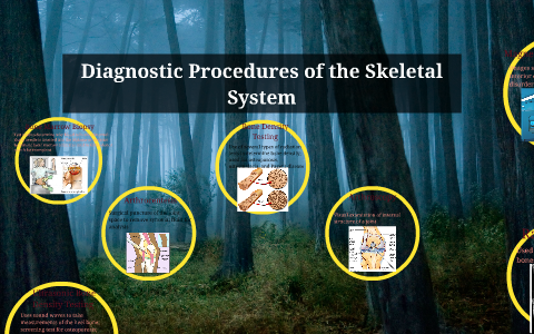Diagnostic Procedures of the Skeletal System by on Prezi