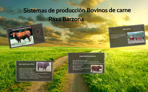 Raza Barzona by Raul Mtmz on Prezi