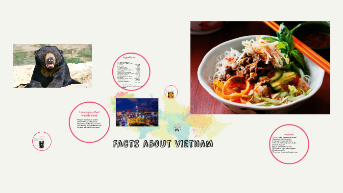 Facts about vietnam by abigail rabago on Prezi