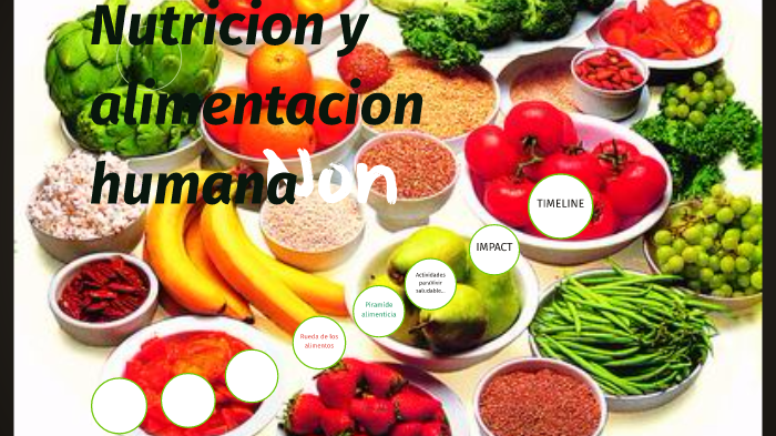 nutricion y alimentacion humana by vanessa franco on Prezi