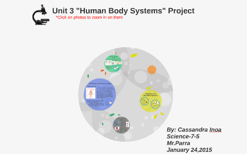 Unit 3 "Human Body Systems" Project by Emily Rodriguez on Prezi