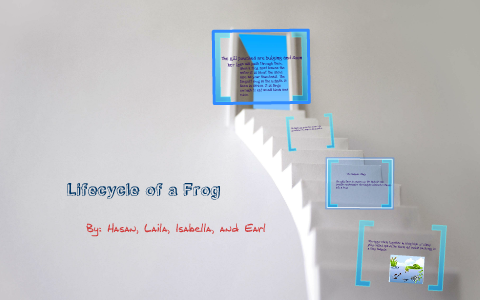 Frog lifecycle by Toye Powell on Prezi