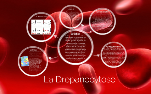 La Drepanocytose by karim haidar on Prezi
