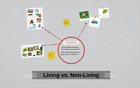 Living vs. Non-Living by Kristina Martinez on Prezi