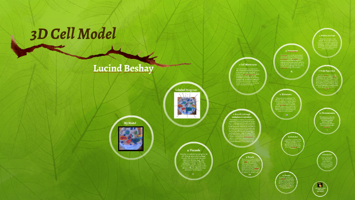 3D Cell Model by School work on Prezi