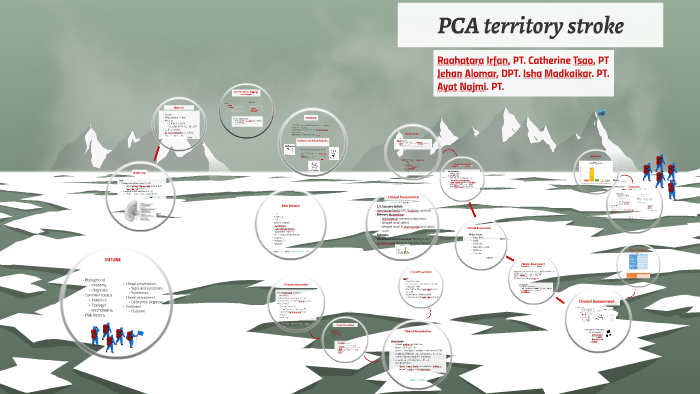 PCA territory stroke by jehan alomar on Prezi