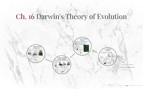 Ch. 16 Darwin's Theory of Evolution by Sarah Diaz on Prezi