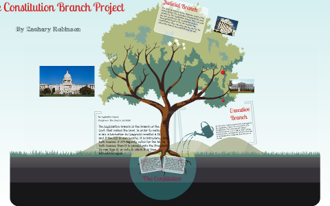 Constitution Tree by Zachary Robinson on Prezi