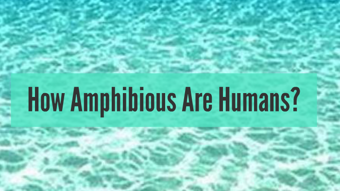 How Amphibious Are Humans? by Hansa Shree on Prezi