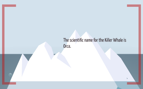 The Kill Whale by sarah vokes on Prezi