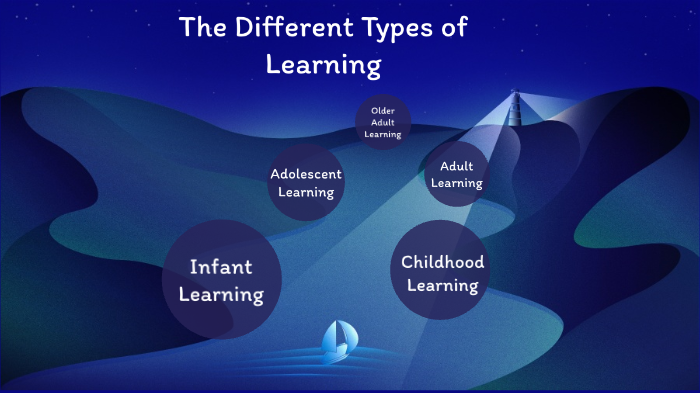Different Types of Learning by Sarah Rodriguez on Prezi