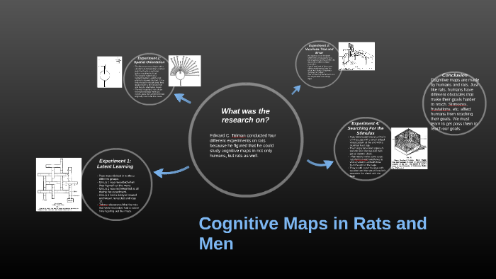 Cognitive Maps in Rats and Men by Megan Funk on Prezi