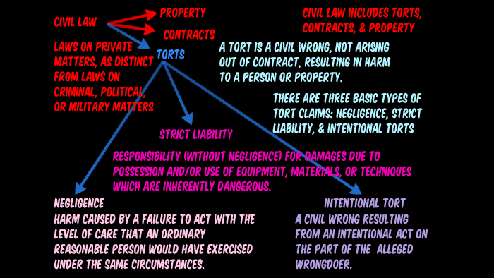 Civil Law: Torts by Jesse W. Raskin on Prezi