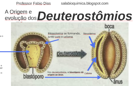 Protostômios e deuterostômios: a evolução dos animais by Fabio Dias on ...