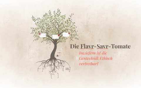 Die Flavr-Savr-Tomate by T H on Prezi