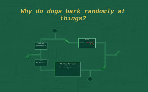 Why do dogs bark randomly by KOK Prezi on Prezi