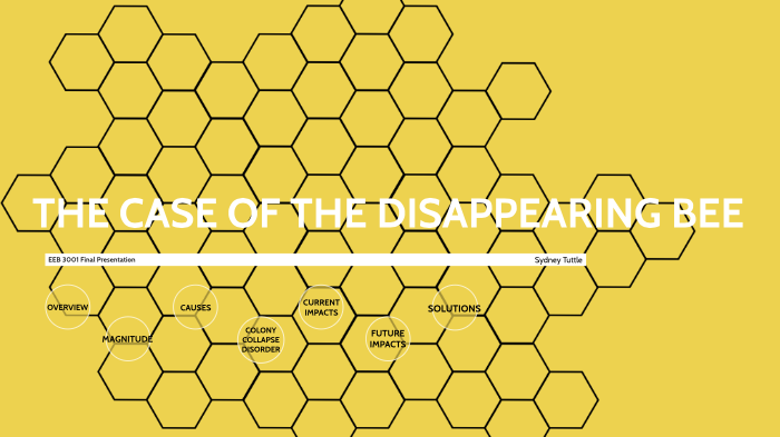 The Case of the Disappearing Bee by Sydney Tuttle on Prezi