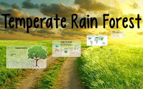 Temperate Rain Forest by lydia yost on Prezi