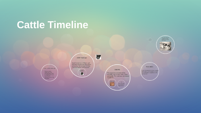 Cattle Timeline by karinthia witmer on Prezi