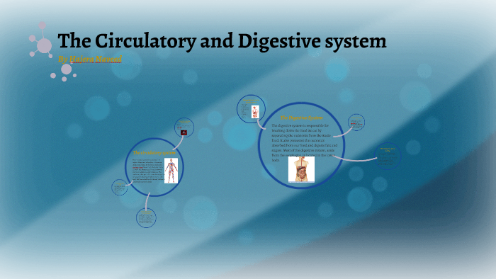 The Circulatory and Digestive system by Hajera Naveed on Prezi