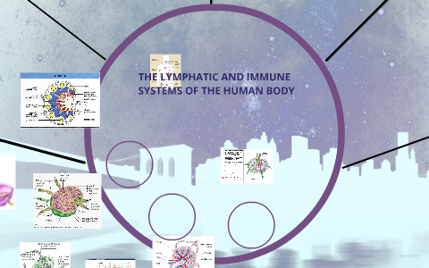 LYMPHATIC AND IMMUNE SYSTEMS by Kathleen Garcia on Prezi