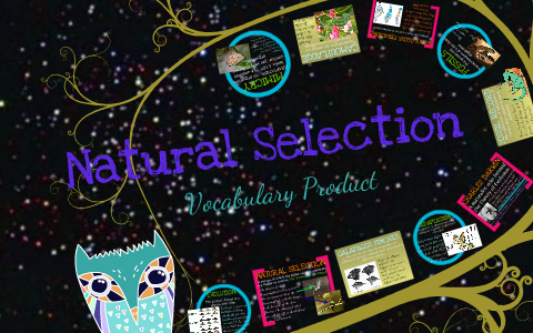 Natural Selection Vocabulary by Aifos Mujna on Prezi