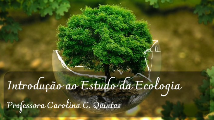Introdução ao Estudo da Ecologia by Professora Carol Quintas on Prezi Introdução ao Estudo da Ecologia by Professora Carol Quintas on Prezi