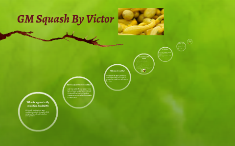 GM Squash by victor tse on Prezi