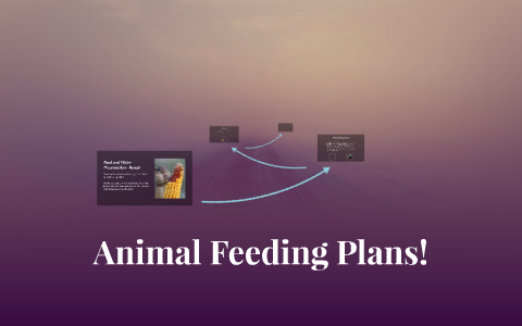 Animal Feeding Plans! by Jennifer Howse on Prezi