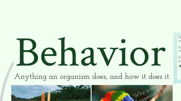 21 AP Bio- Ecology 1: Behavior by Ben Schmitt on Prezi