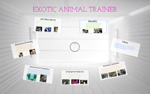 Exotic Animal Trainer by Lauren Morris on Prezi