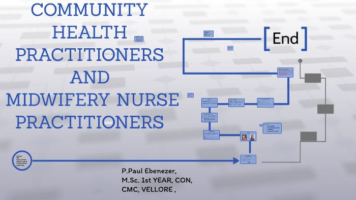 COMMUNITY HEALTH PRACTITIONERS AND MIDWIFERY NURSE PRACTIT by PAUL ...