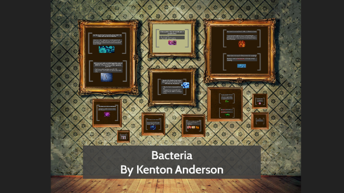 Bacteria by Kenton Anderson on Prezi